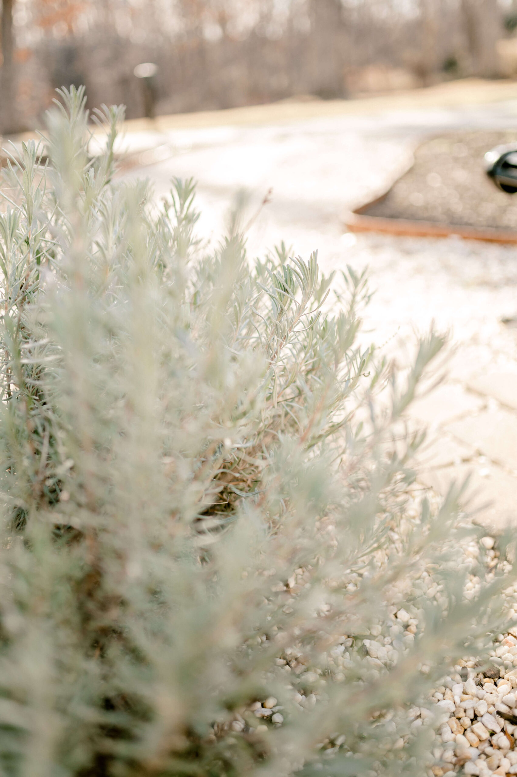 Rust Manor House Wedding | Leesburg Virginia - rmattiophotography